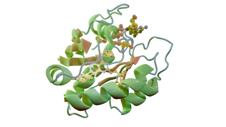 AmBeed解析靶点的秘密：揭露Bcl-2在细胞凋亡中的“使坏”伎俩 - 知乎