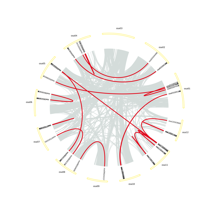 生信人填坑记 orthofinder的安装和基础使用 - 知乎