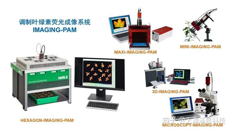 如何选择叶绿素荧光成像系统，看这篇文章就够了~ - 知乎