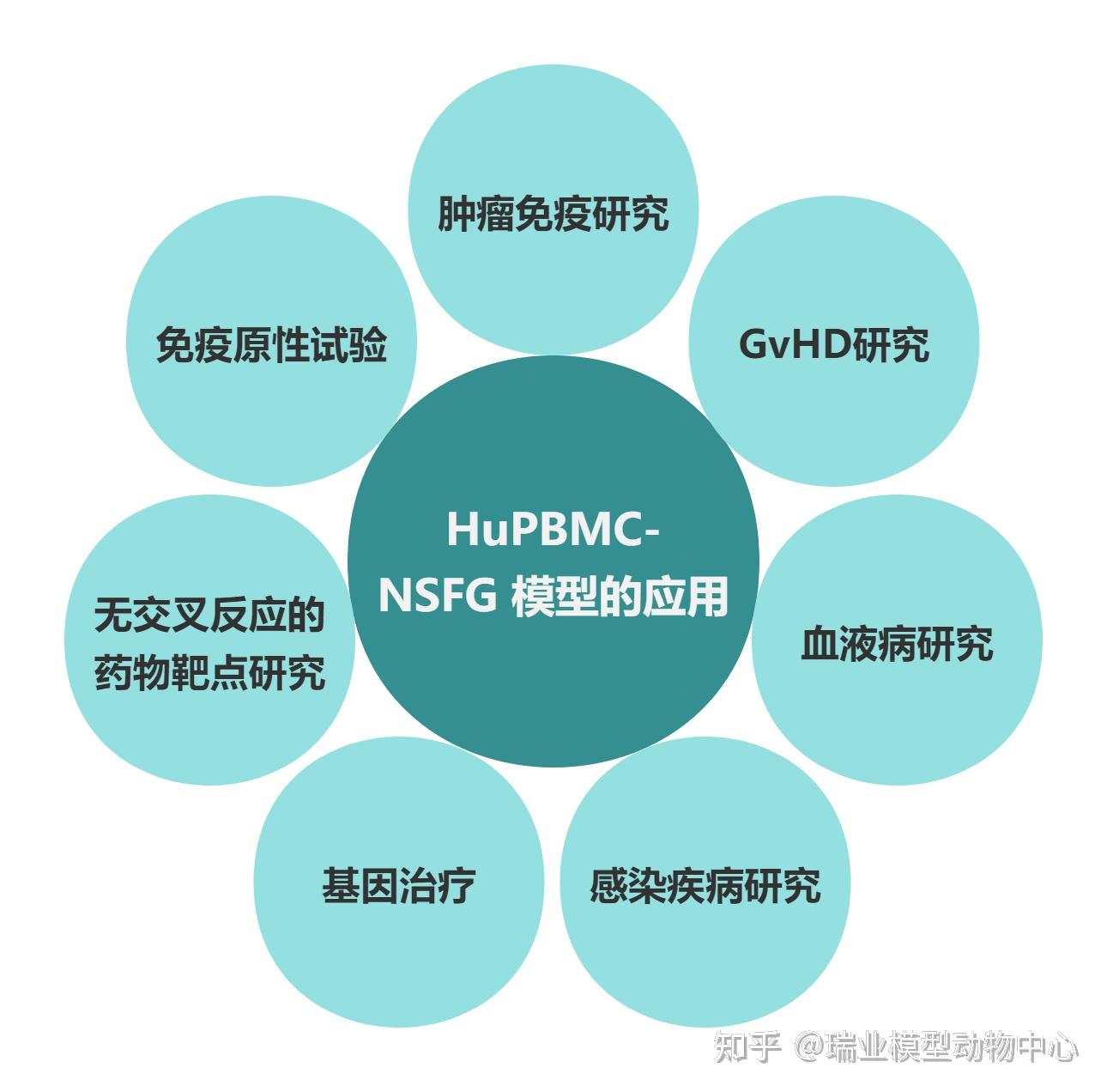 HuPBMC-NSFG人源化小鼠——疾病研究的新星模型 - 知乎