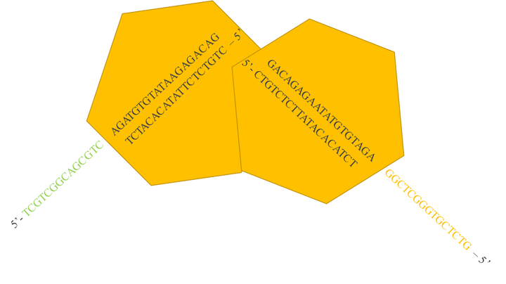 从Tn5结构来看如何利用Tn5进行文库构建 - 知乎