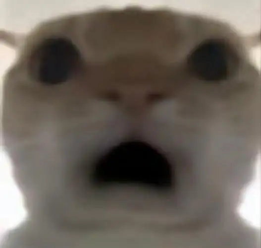 Codeforces Round 1029 (Div. 3) - 知乎