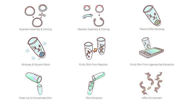 合成生物技术的新基建 | biofoundry(生物铸造厂)——Agile Biofoundry、DAMP Lab - 知乎