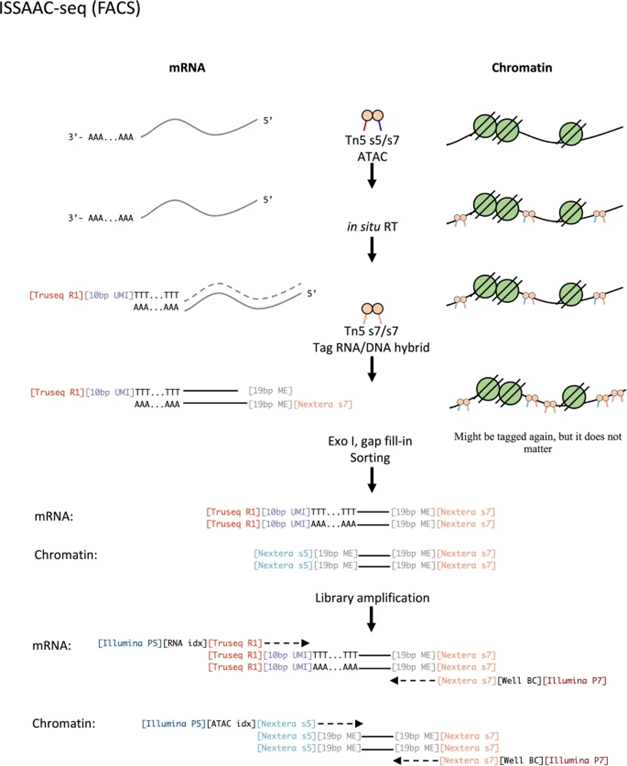 2022年Nature Methods那些令人印象深刻技术进展 - 知乎