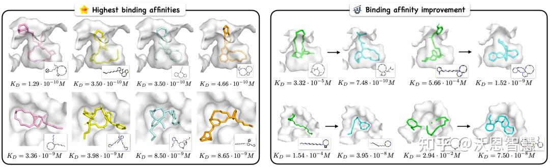 ICLR2024｜ MolGen: 化学反馈引导的预训练分子生成 - 知乎
