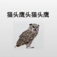 Qwen Answer: why T^（-1）AT is in diagonal，jordan or modified canonical ...