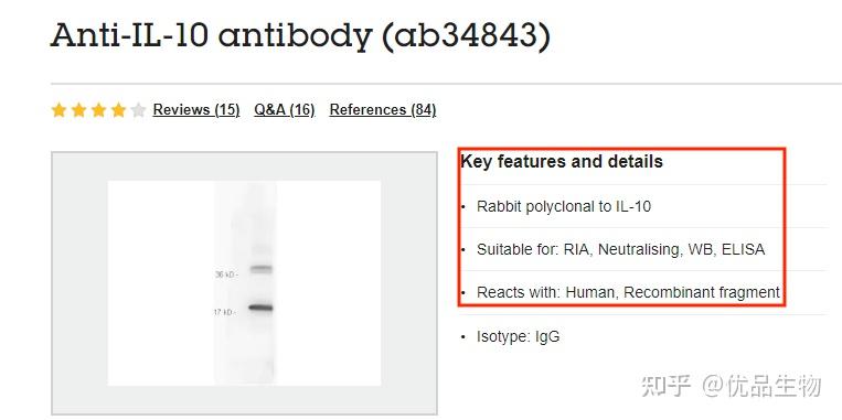 如何在抗体官网查看抗体数据 - 知乎