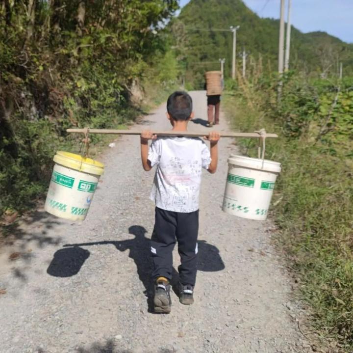 YY4 ||当马最幸福 - 知乎