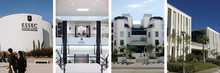 最新！ESSEC高商GE项目23fall申请批次时间公布！ - 知乎