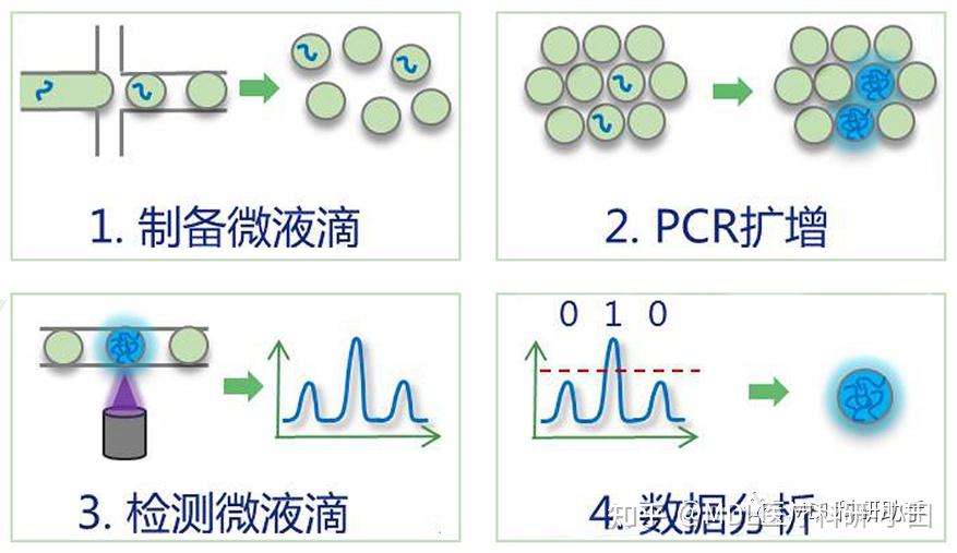 干货分享 | 常用PCR技术及原理 - 知乎