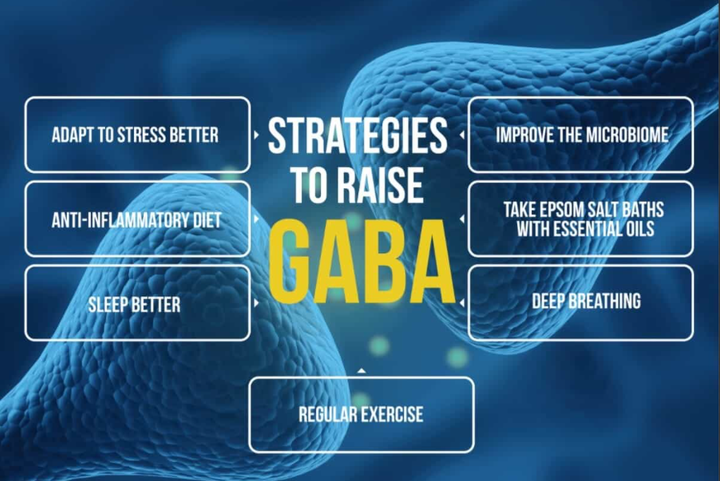 GABA - 知乎