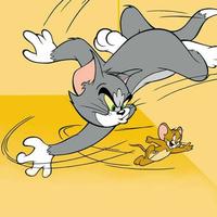 Python | CDO | python-cdo 安装 - 知乎