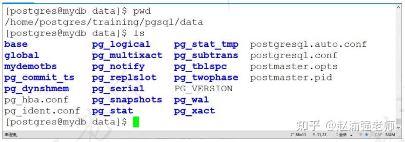 【赵渝强老师】PostgreSQL的物理存储结构 - 知乎