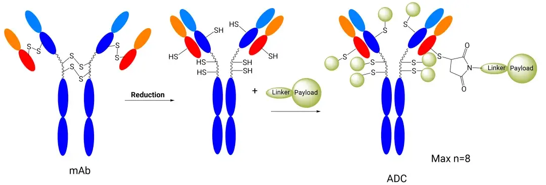 ADC的DAR值是什么，怎么检测？ - 知乎