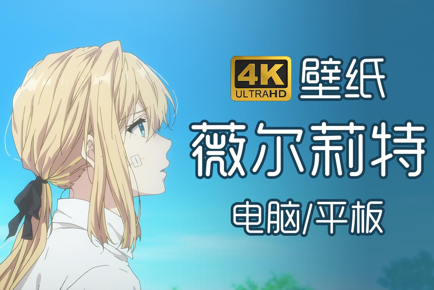 薇尔莉特 4K壁纸 无水印分享 - 知乎