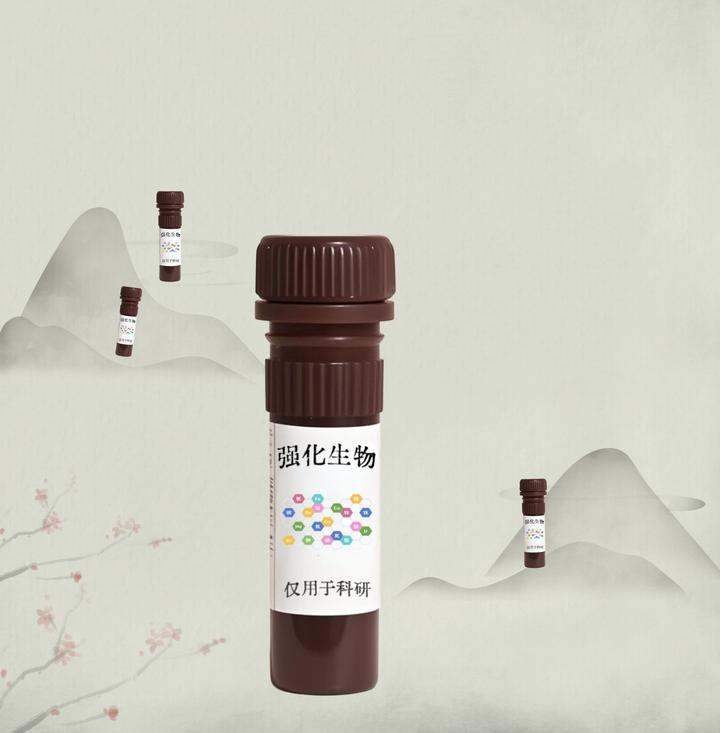 【实验室干货！】DPX Mountant for Histology DPX封片剂的使用方法 - 知乎