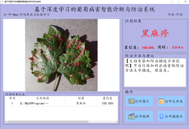 基于yolov8深度学习的葡萄病害智能诊断与防治系统【python源码pyqt5界面数据集训练代码】深度学习实战 知乎 