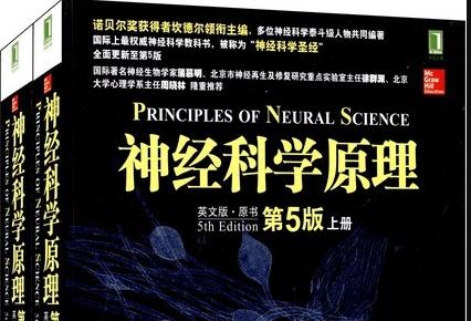 《神经科学原理》Principles of Neural Science 单词笔记(上) - 知乎