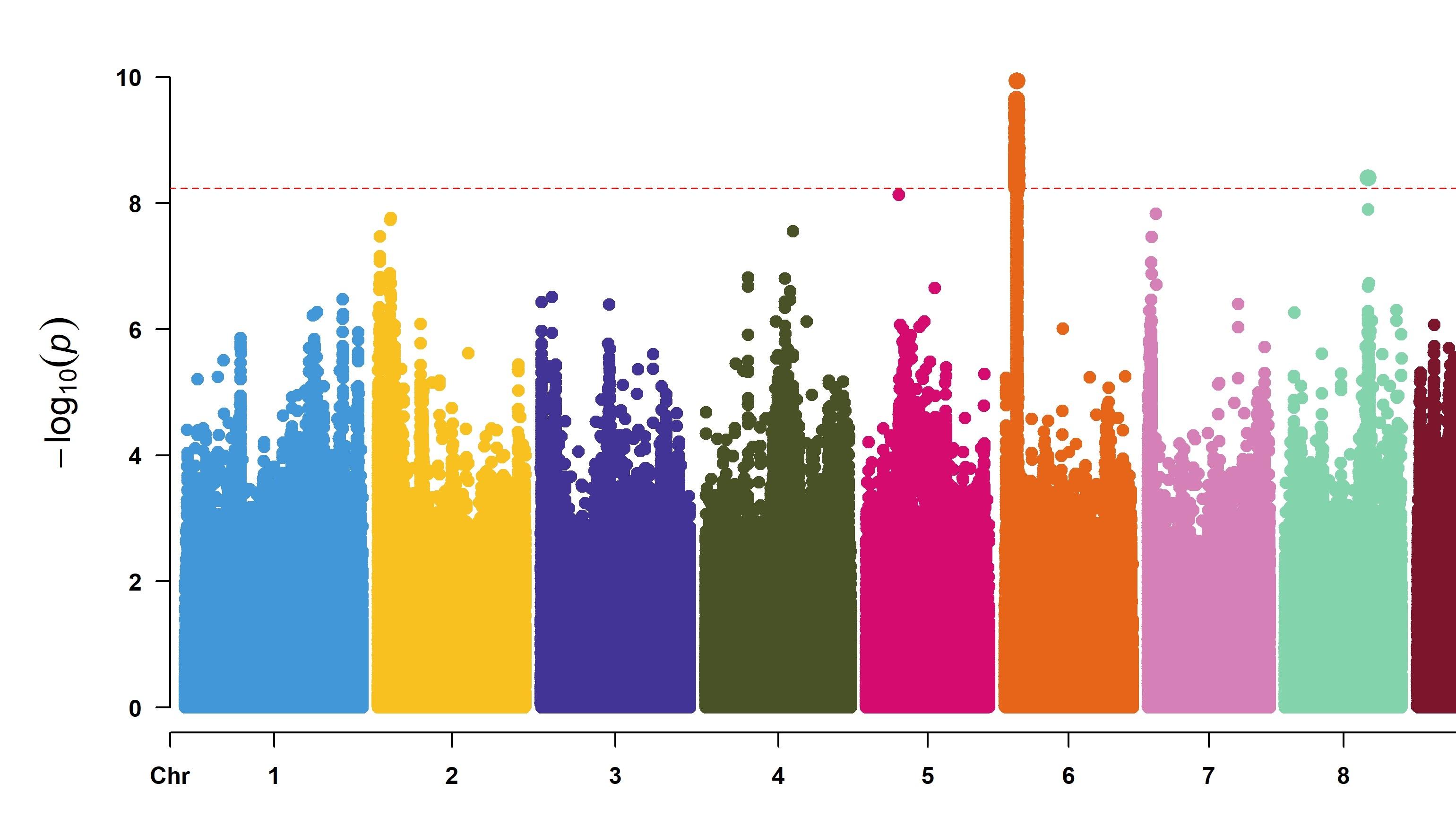 GWAS分析流程 - 知乎