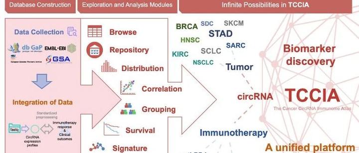 肿瘤免疫治疗circRNA数据库TCCIA在线发表&成员招募 - 知乎