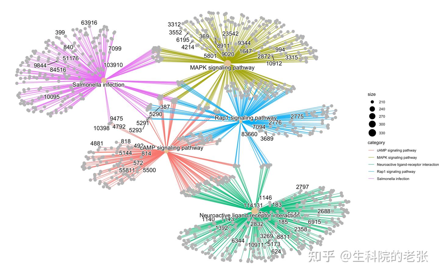 最全的GO, KEGG, GSEA分析教程(R),你要的高端可视化都在这啦！[包含富集圈图] - 知乎
