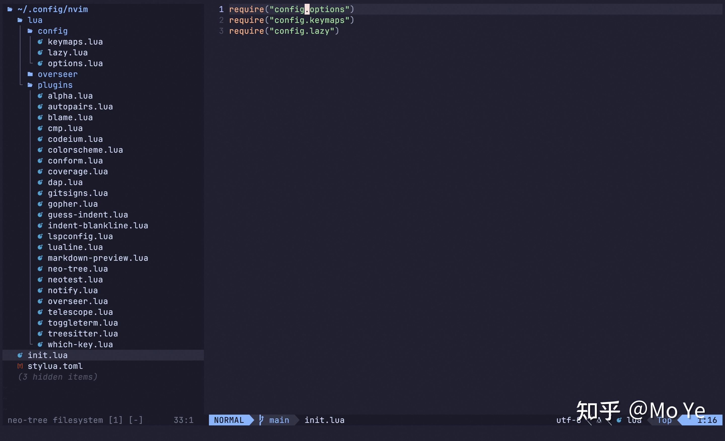 Golang Neovim配置 - 知乎