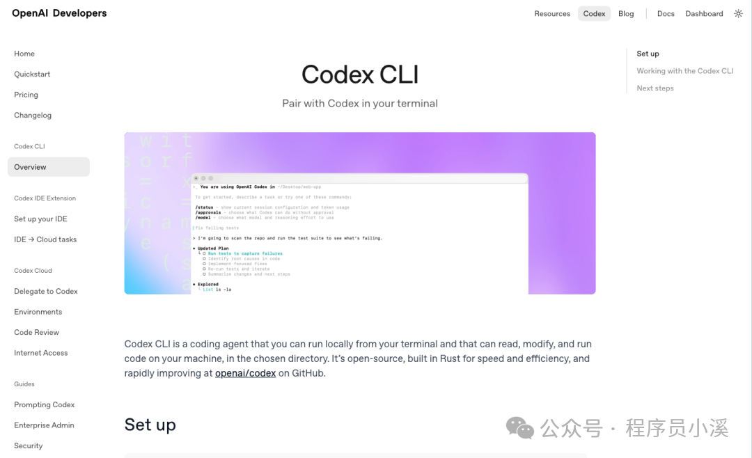 Codex CLI初体验 - 知乎