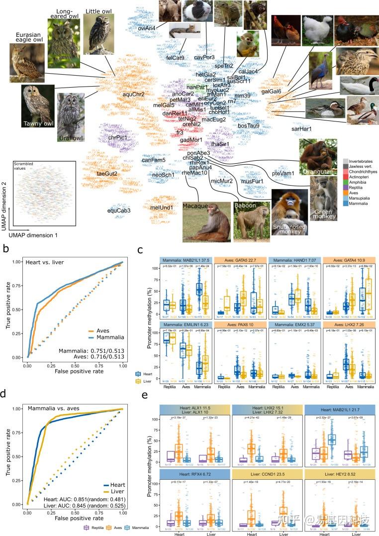 Nat Commun 是什么期刊？什么级别？和Nature什么关系？ - 知乎