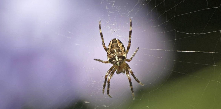 SpiderAdmin可视化管理+定时调度爬虫项目 - 知乎