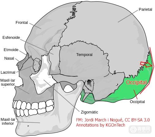 Karl Guttag：现有Micro LED/LCoS+光波导AR眼镜对比解析 - 知乎