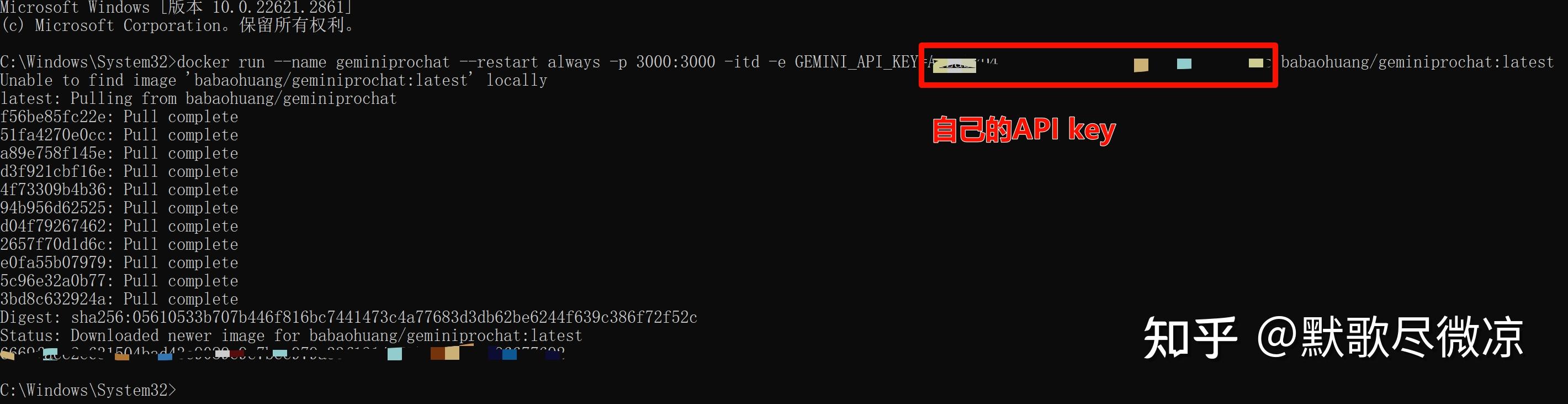 本地搭建使用Gemini Pro大模型! 完全免费！ - 知乎