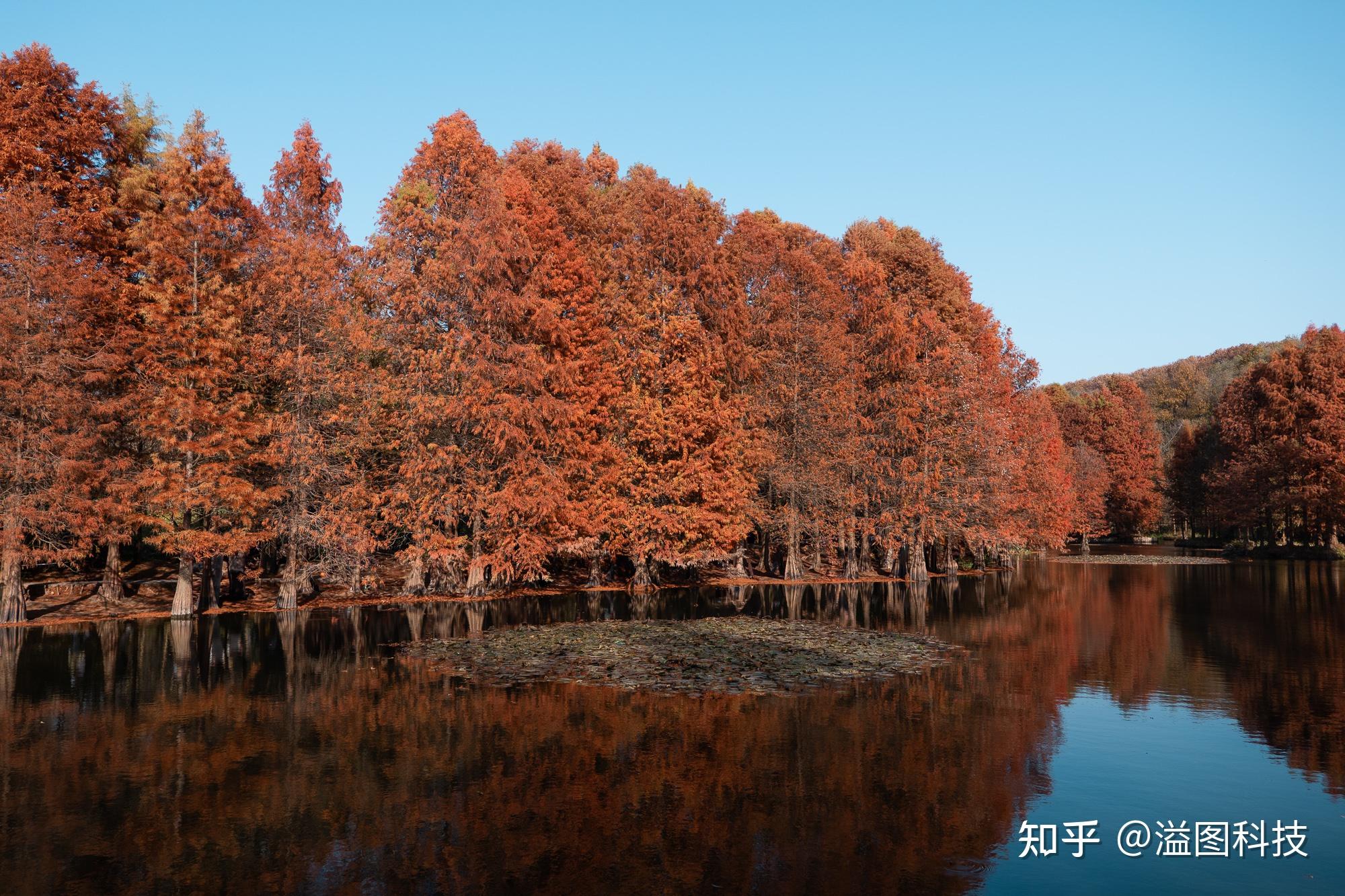 松下S5m2相机配什么镜头，主要是人像和风光，一般都是旅拍，本人小白，第一台相机。? - 知乎