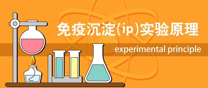 免疫沉淀（ip）实验：CoIP、RIP、CHIP的区别 - 知乎