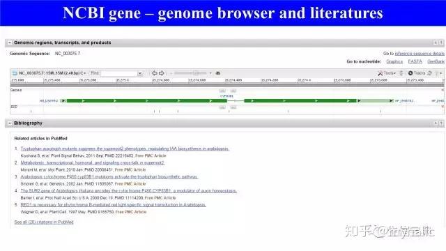 生信软件系列 - NCBI使用 - 知乎