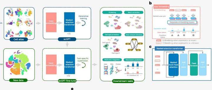 Nat Methods｜scGPT：利用生成式AI构建单细胞多组学基础模型 - 知乎