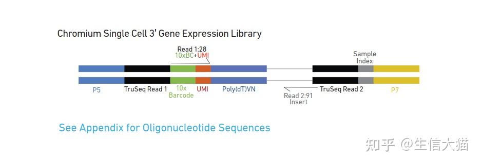 RNA-seq测序原理 - 知乎