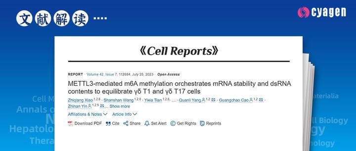 Cell reports︱尹芝南团队揭示mRNA m6A修饰调控γδ T细胞亚群分化新机制 - 知乎