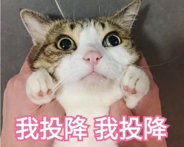用AI打游戏算不算外挂？ - 知乎