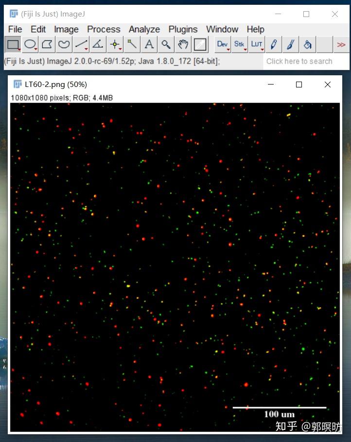 ImageJ使用心得之Particle Analysis （一） - 知乎
