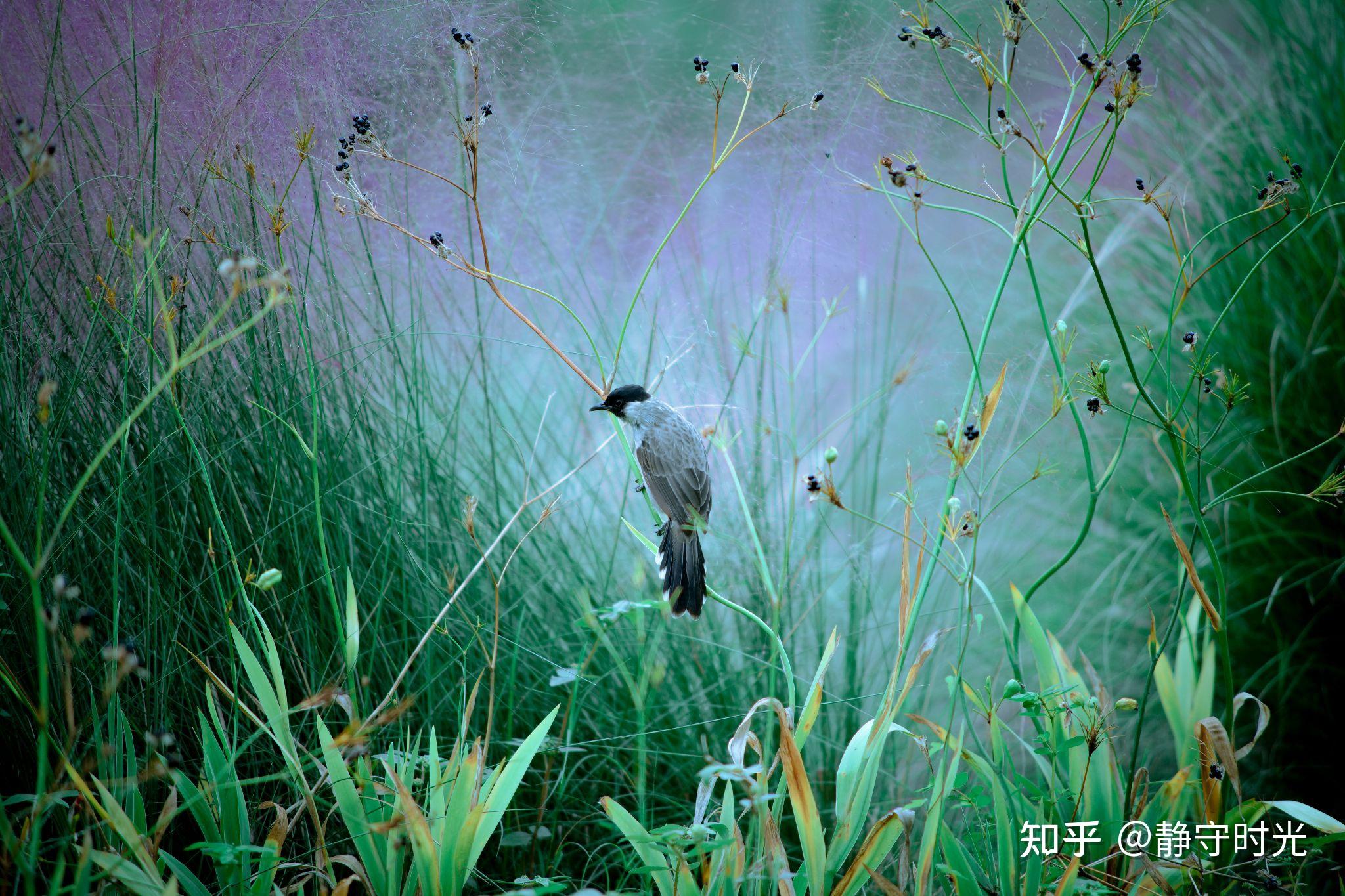 富士Xt5和索尼A7c2怎么选? - 知乎