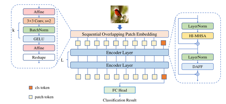 Bridging the Gap Between Vision Transformers and Convolutional Neural Networks on Small Datasets ...