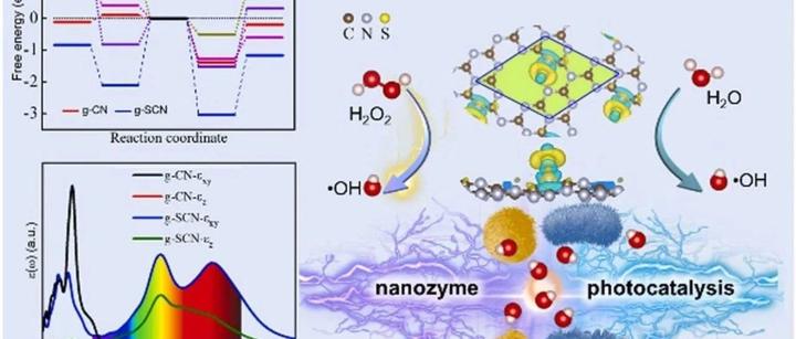 【Appl.Catal.B Environ】光催化与纳米酶协同作用构建SNC键促进杀菌 - 知乎