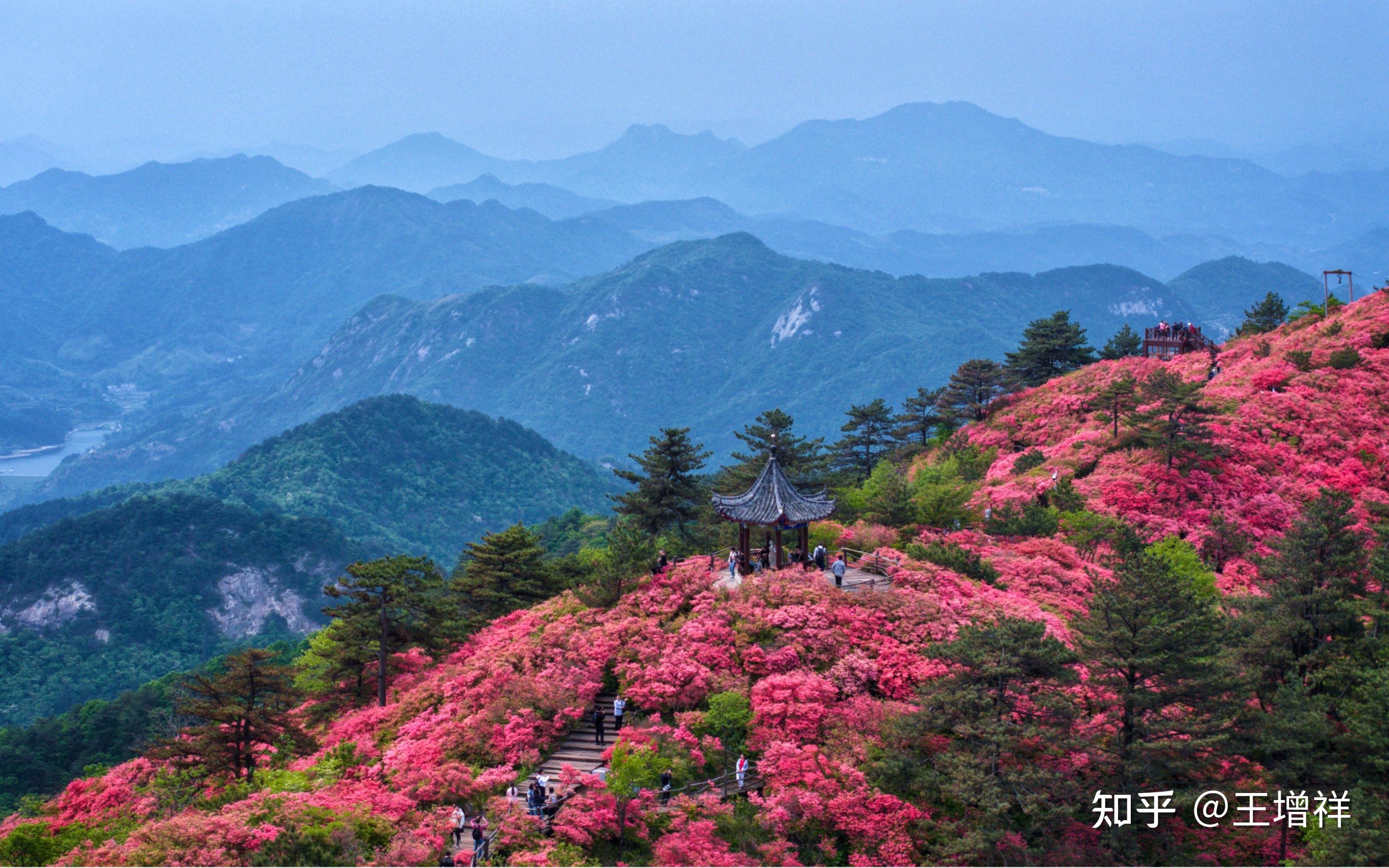 麻城市 3 日游，有哪些景点值得打卡？ - 知乎