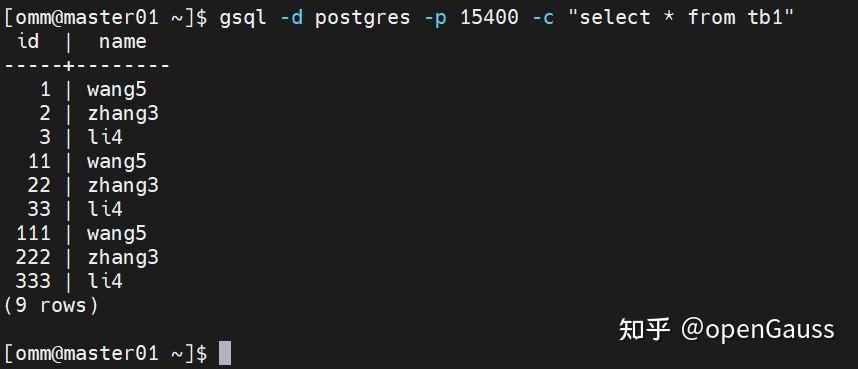 详解openGauss客户端工具gsql的高级用法 - 知乎