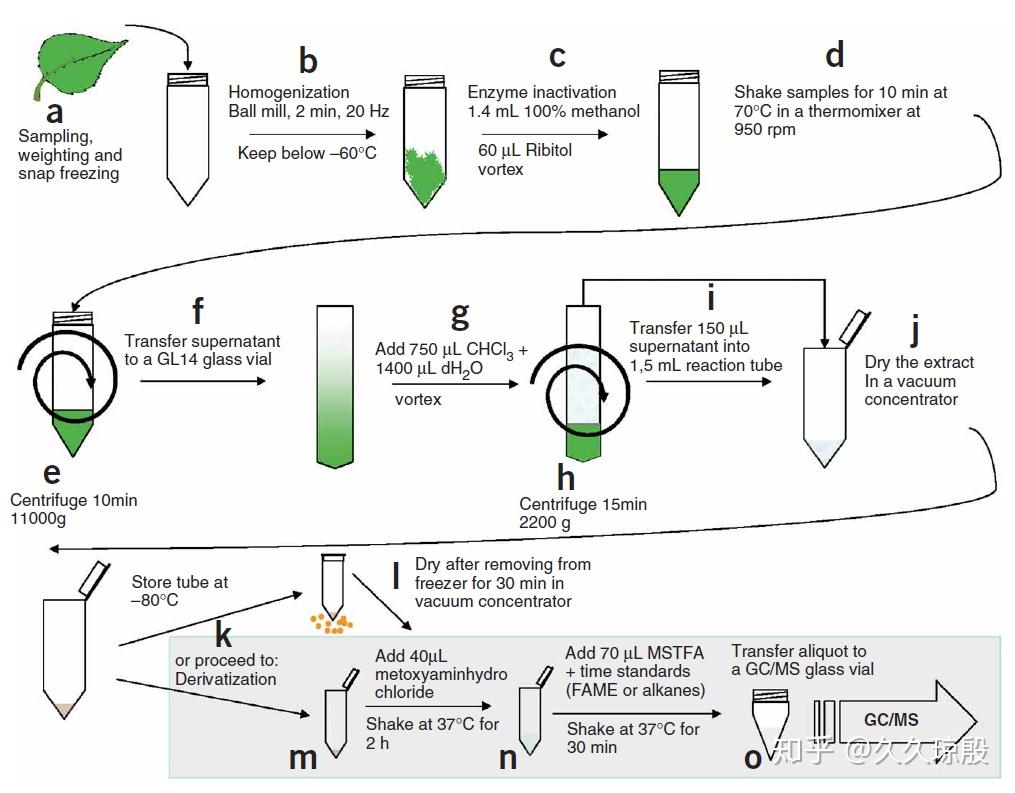 在做GC-MS过程里，我们的样品发生了什么？ - 知乎