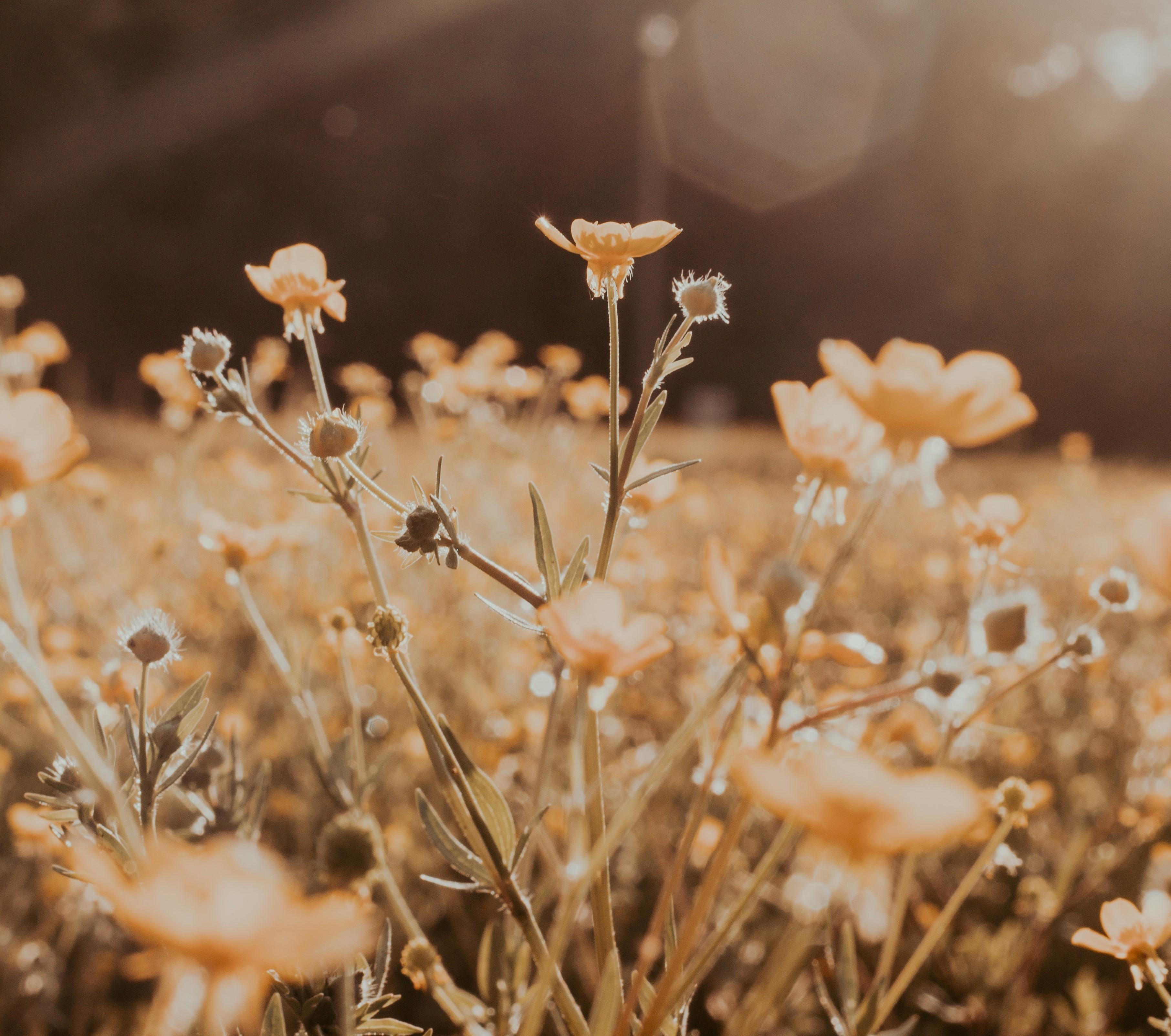 [PyTorch 学习笔记] 4.1 权值初始化 - 知乎