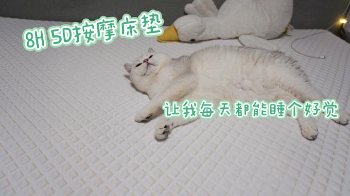 8H 5D按摩床垫，让我每天都能睡个好觉 - 知乎