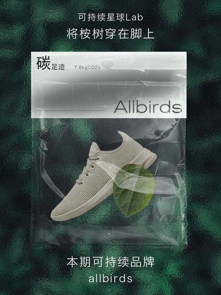 怎样评价allbirds的可持续产品？ - 知乎