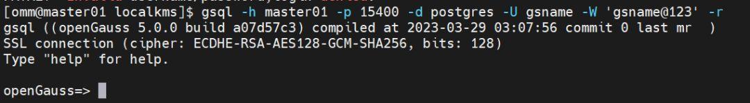 详解openGauss客户端工具gsql的高级用法 - 知乎