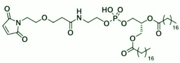DSPE-PEG-Mal Mal-PEG-DSPE 磷脂-PEG-马来酰亚胺 - 知乎